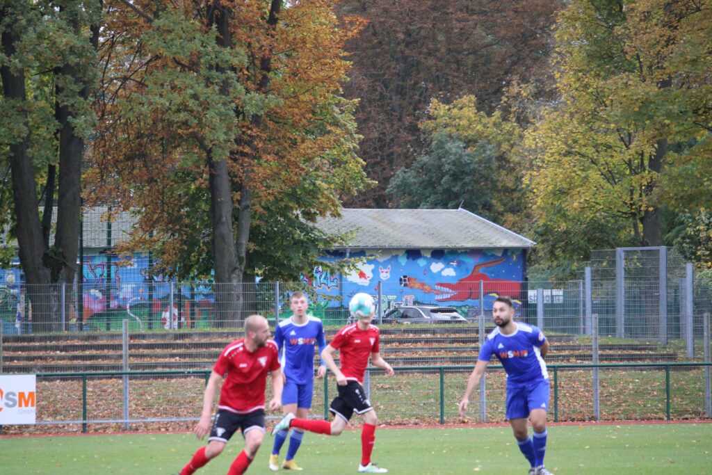 9. Spieltag – SSV Markranstädt – 23.10.2021 - SG Dresden Striesen